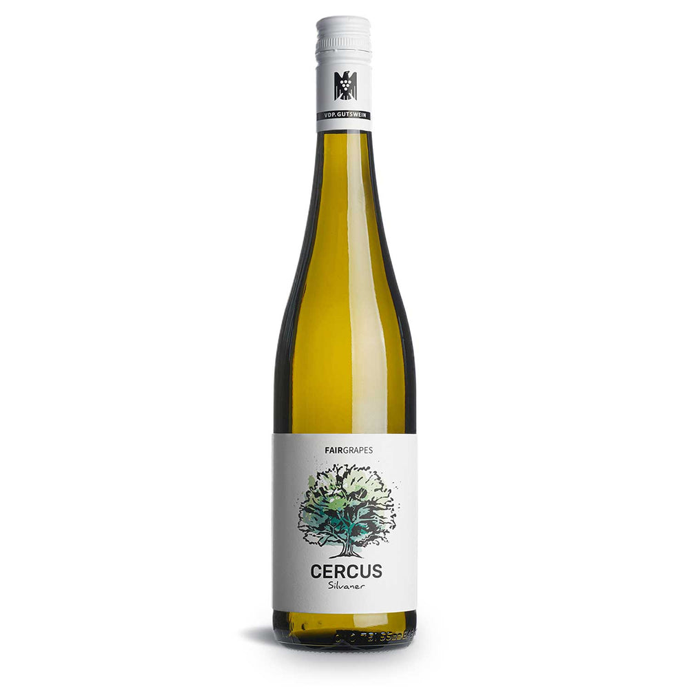 Cercus Silvaner trocken VDP.Gutswein - FairGrapes