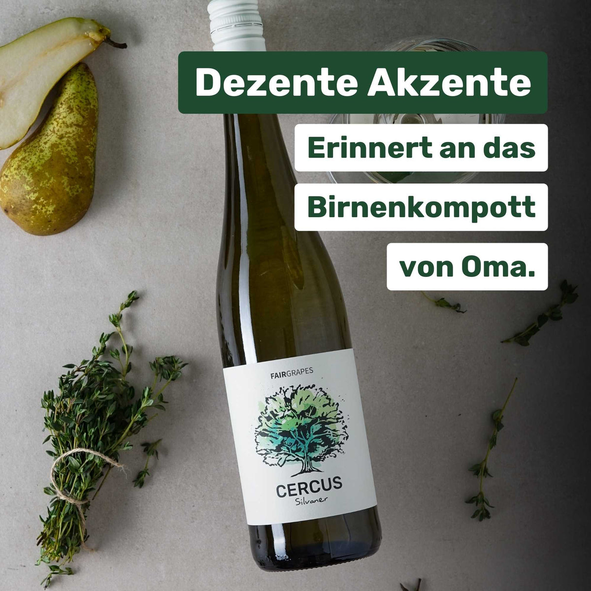 Cercus Silvaner trocken VDP.Gutswein - FairGrapes